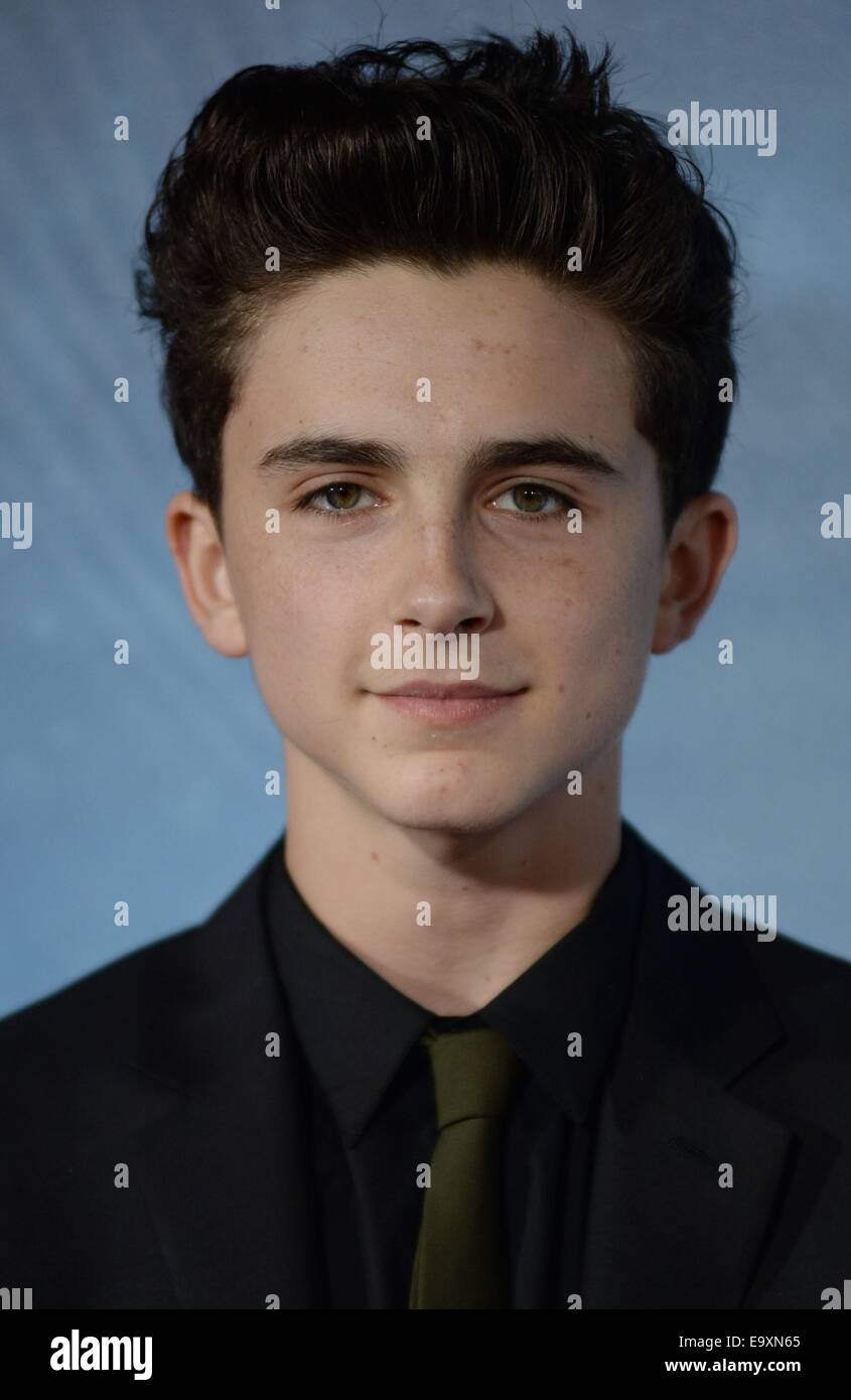New York, NY, USA. 3rd Nov, 2014. Timothee Chalamet at arrivals for ...