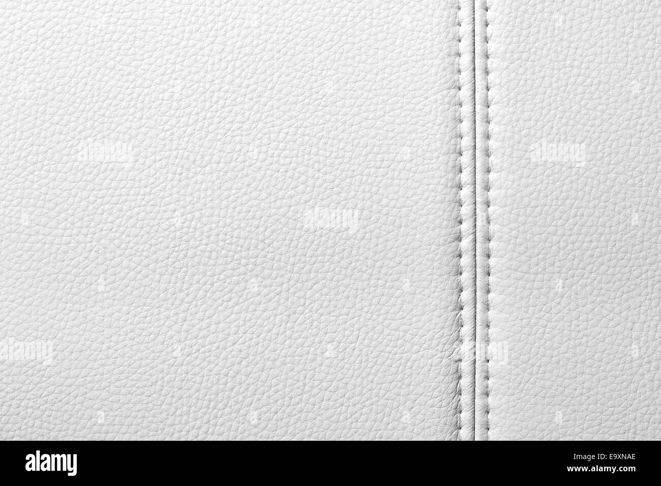 Leather snake Black and White Stock Photos & Images - Alamy