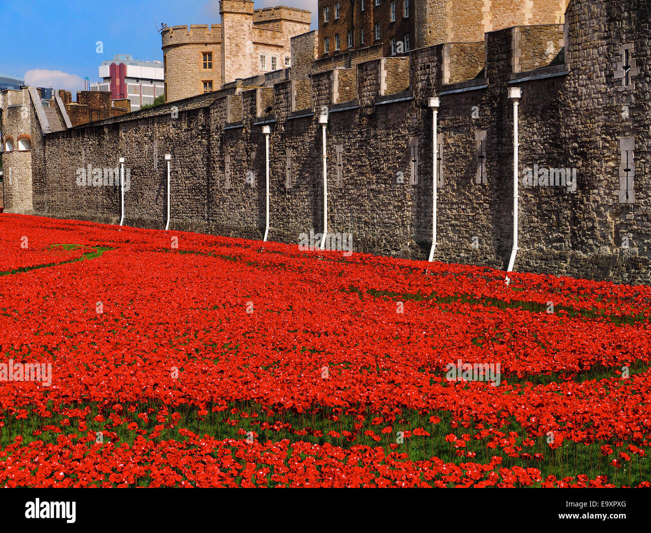 Red Poppies Art Installation at the Tower of London Moat in ...