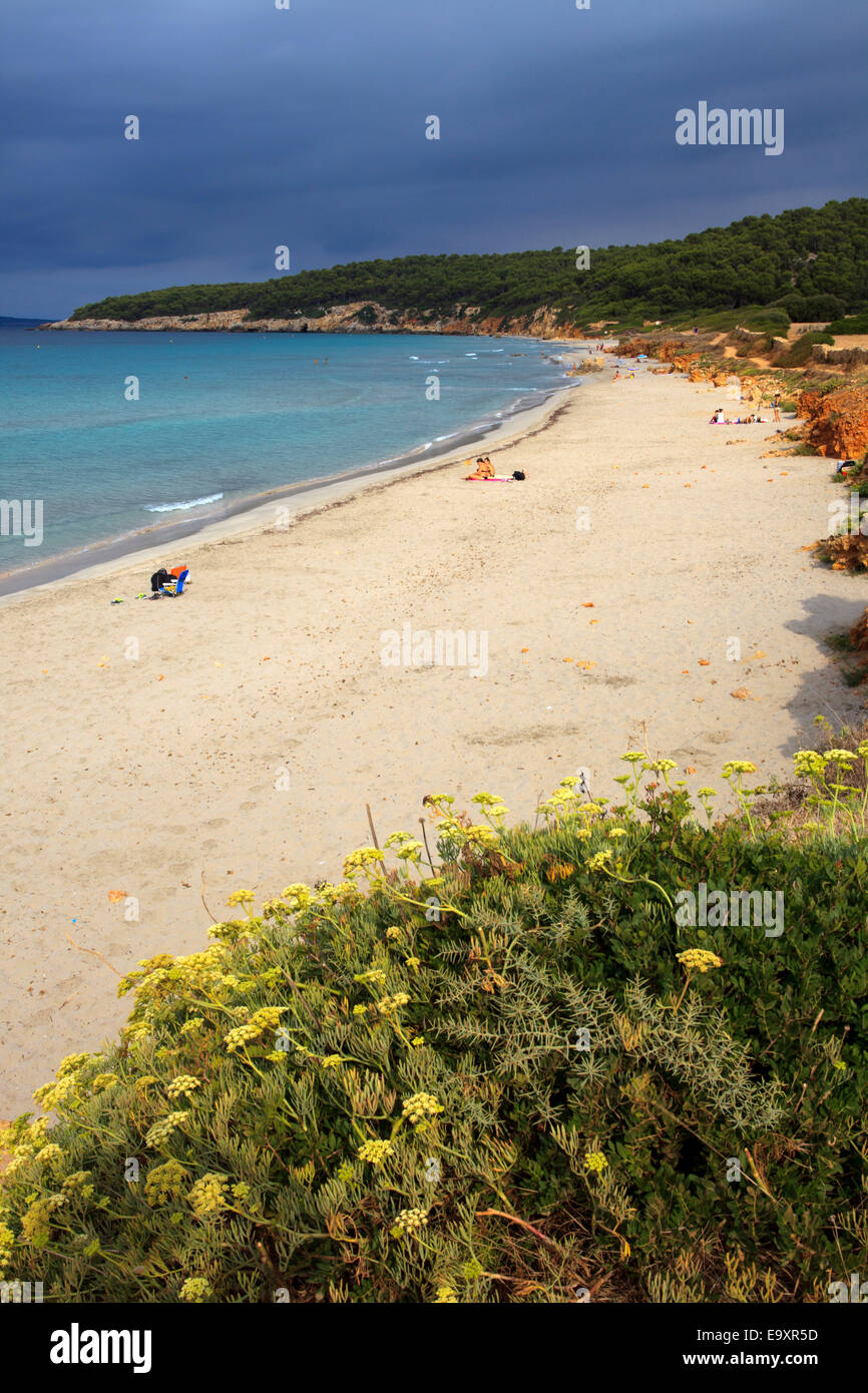 Binigaus beach, Sant Tomas, Menorca, Balearic Islands, Spain Stock ...