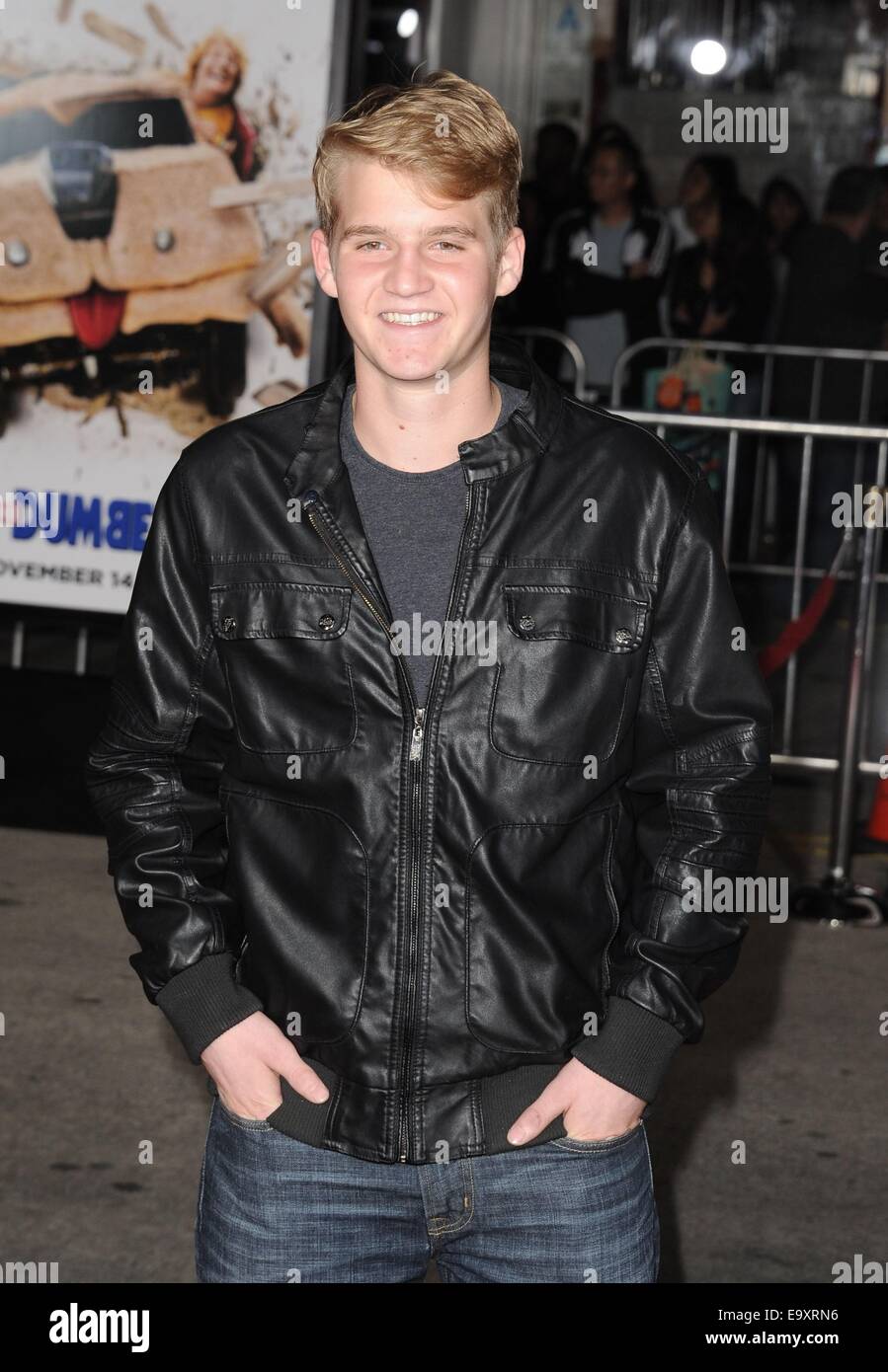 Los Angeles, CA, USA. 3rd Nov, 2014. Dalton E. Gray at arrivals for ...