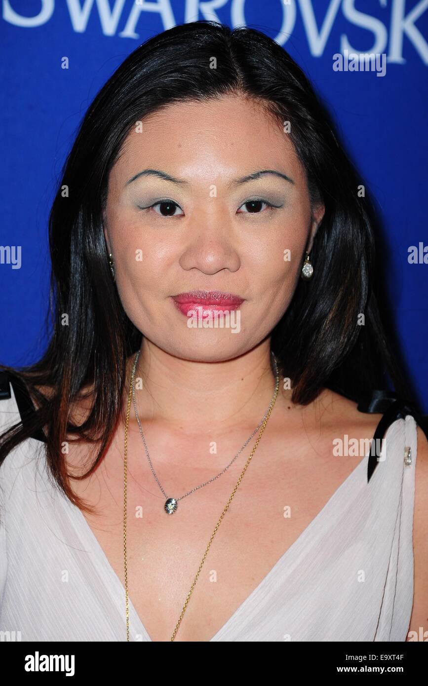 New York, NY, USA. 3rd Nov, 2014. Alex Woo at arrivals for The ...