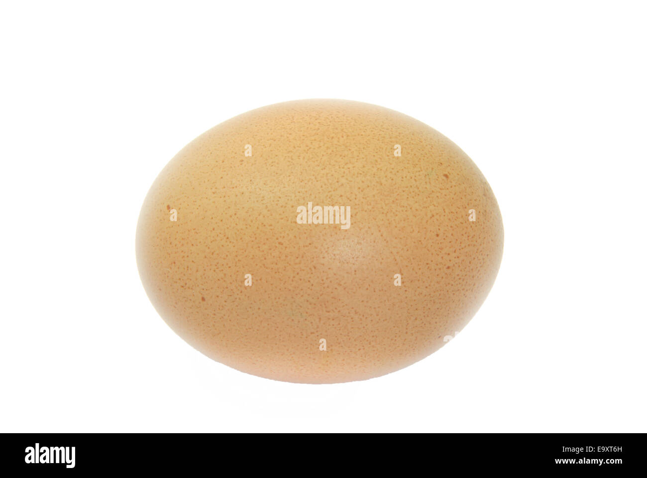 Egg isolated on a white background, close image Stock Photo - Alamy