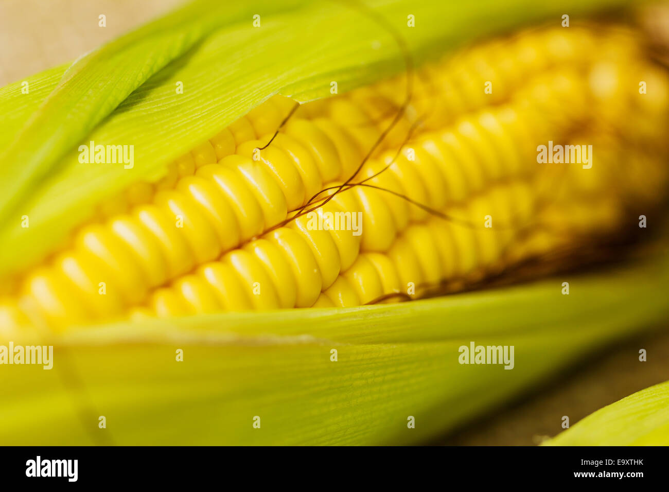 Ears sweet corn isolated hi-res stock photography and images - Alamy