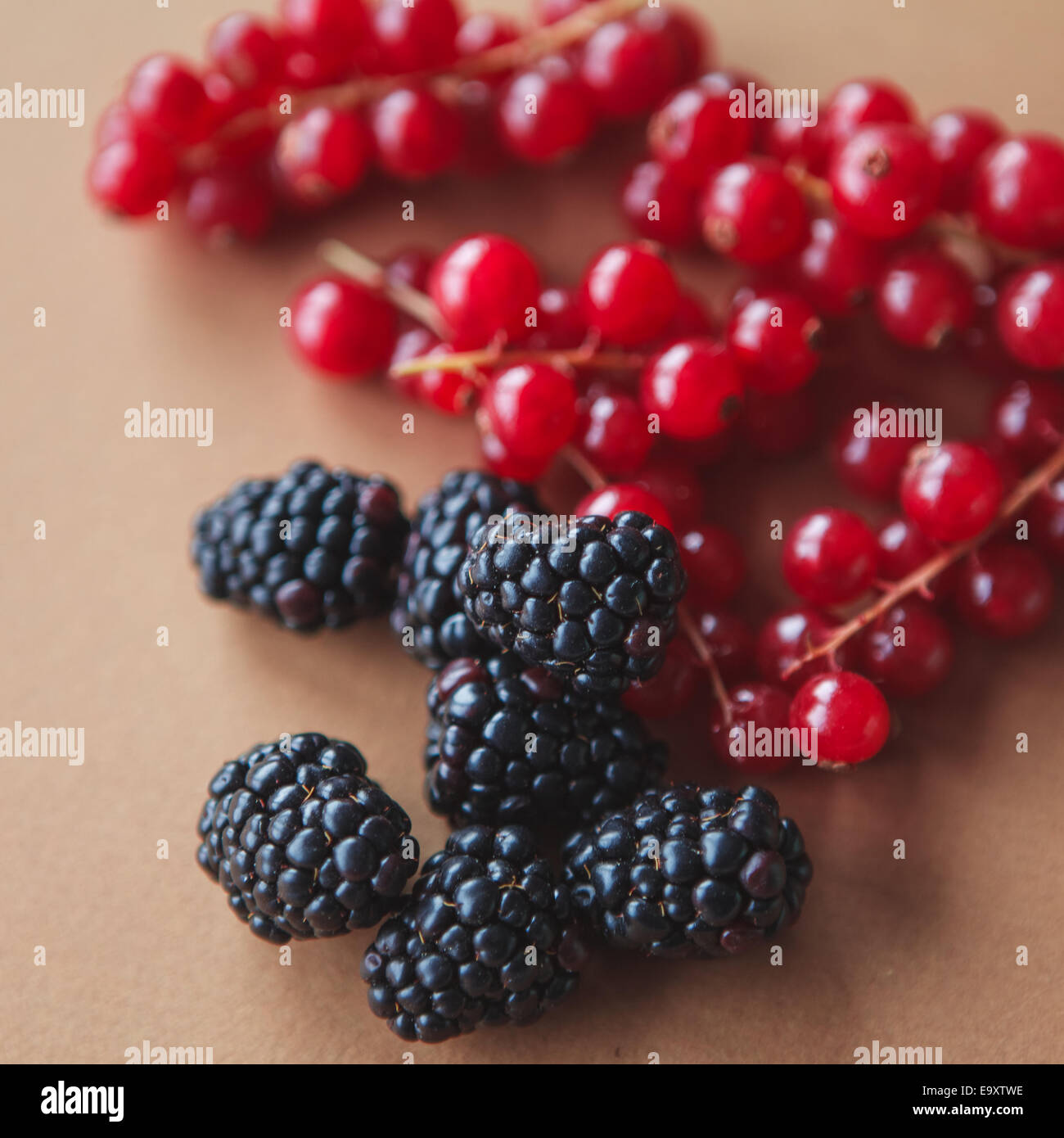 berryes on a paper Stock Photo - Alamy