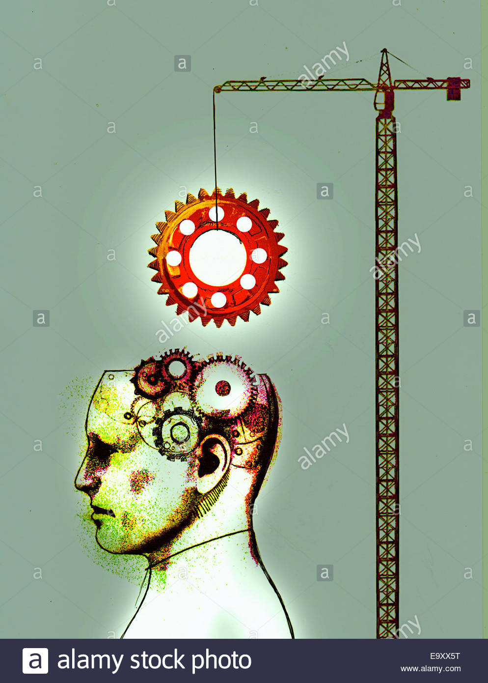 Brain Picking Stock Photos & Brain Picking Stock Images - Alamy