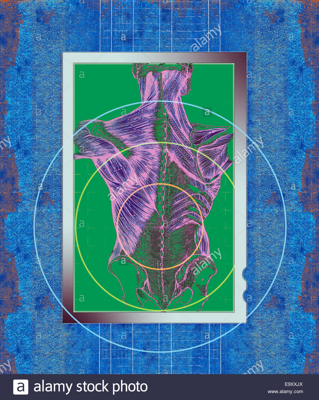 Diagram Stock Photos & Diagram Stock Images - Alamy