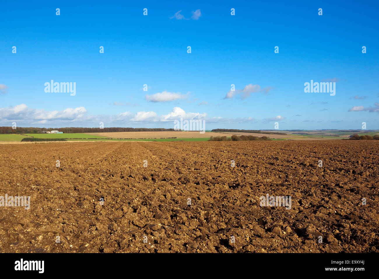 Pattern and texture of freshly plowed chalky clay soil in an autumn ...