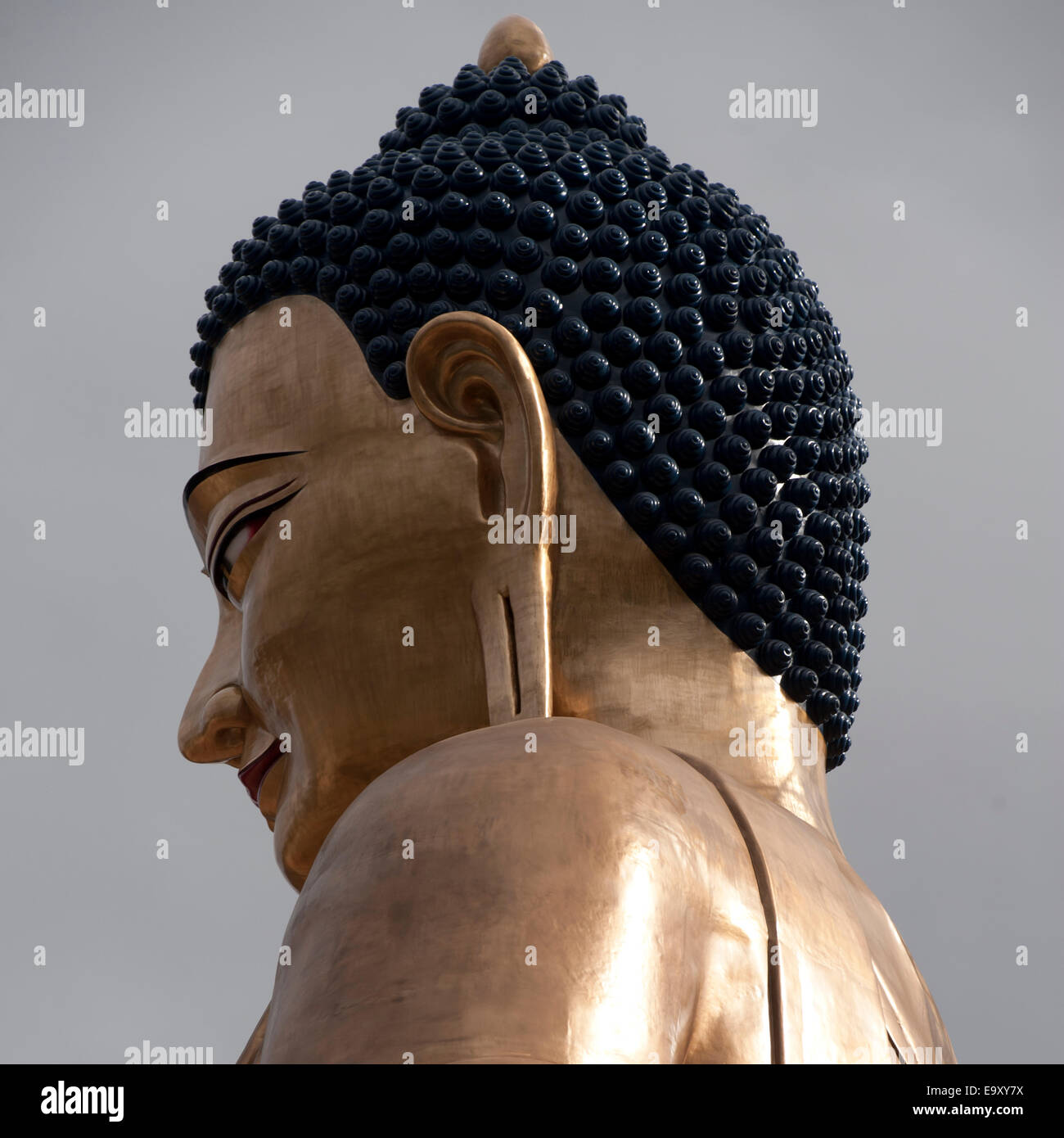 Buddha statue in Bhutan, Asia Stock Photo - Alamy