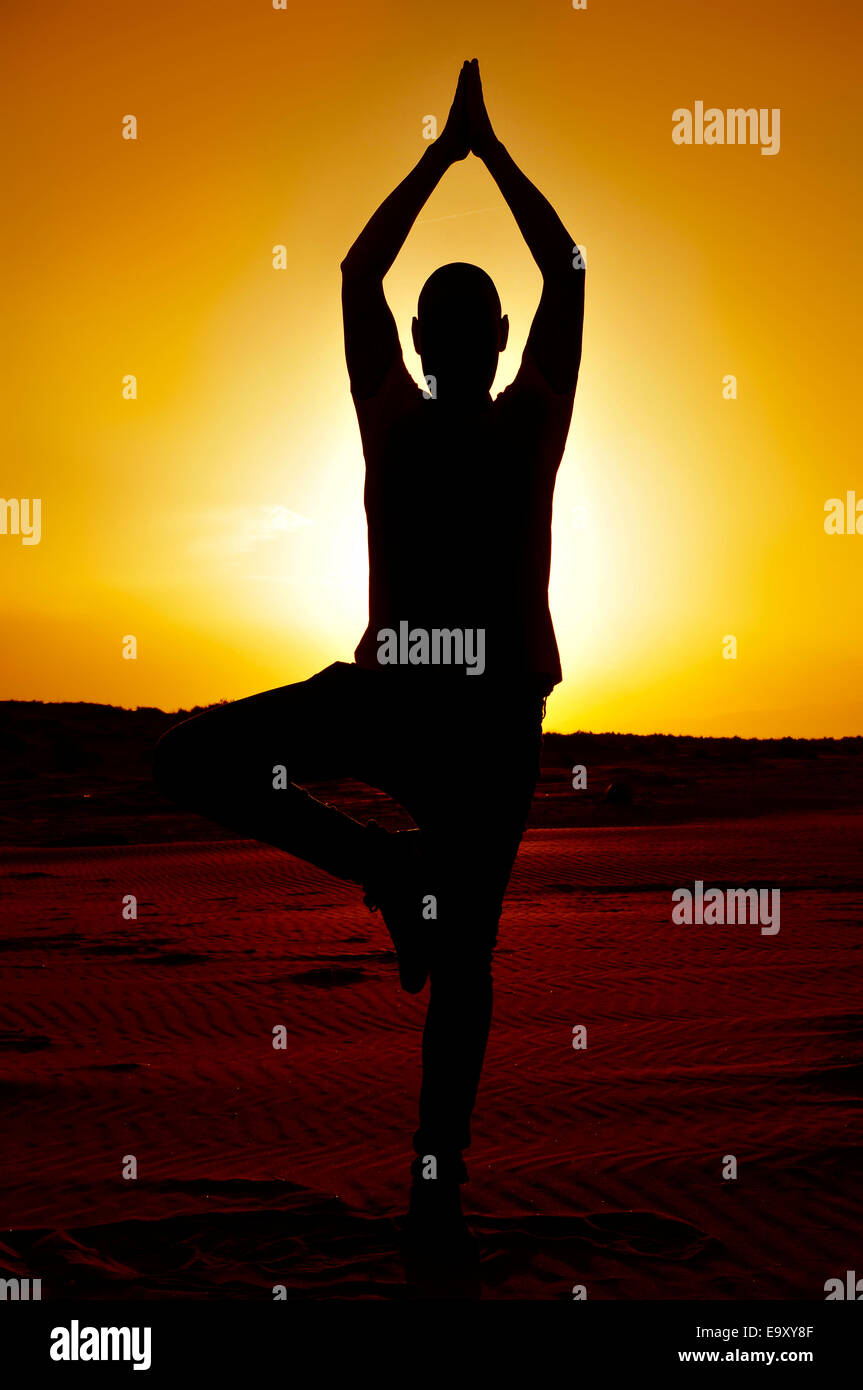Silhouette of yoga tree pose hi-res stock photography and images - Alamy