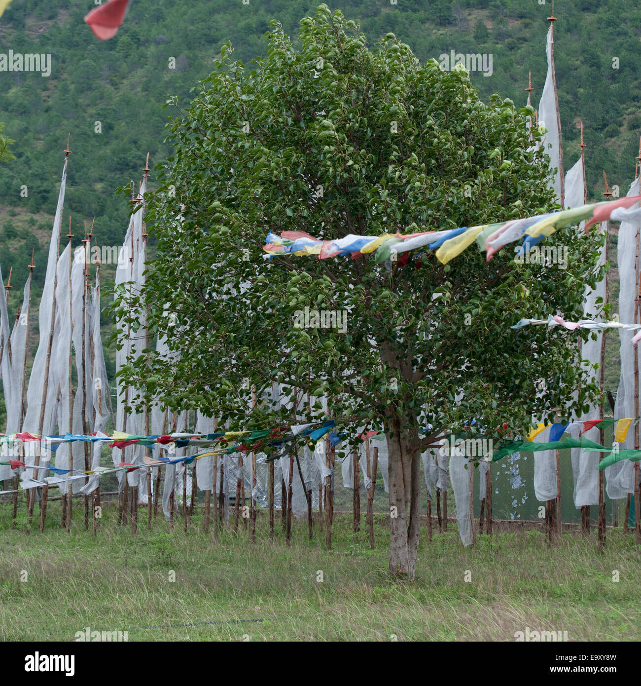 Chhimi lhakhang hi-res stock photography and images - Alamy