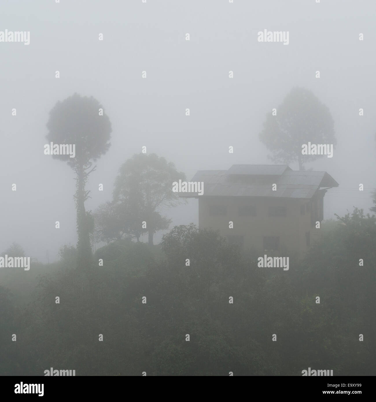 Fog Over Landscape In Bhutan Punakha Valley Stock Photo Alamy