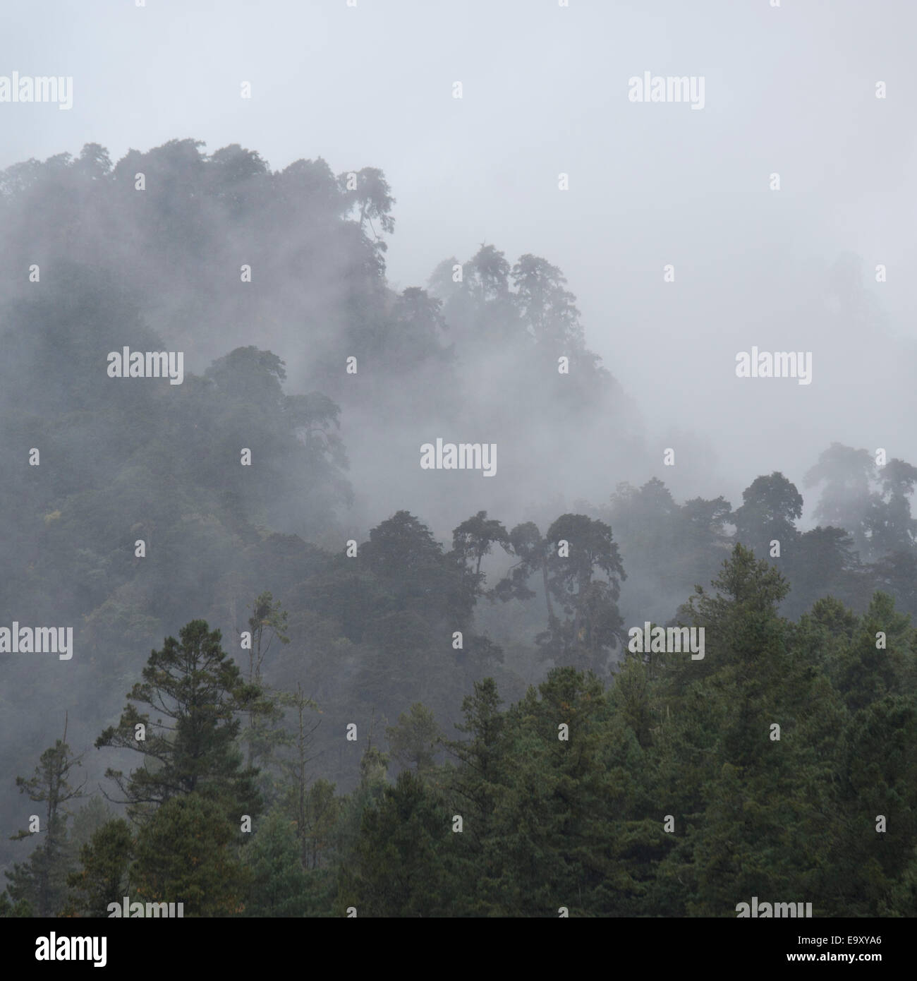 Bhutan mist hi-res stock photography and images - Alamy