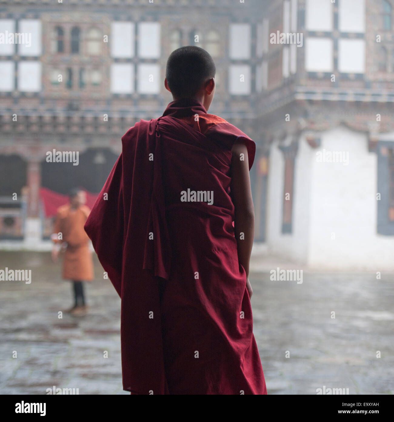 Monk back view hi-res stock photography and images - Alamy