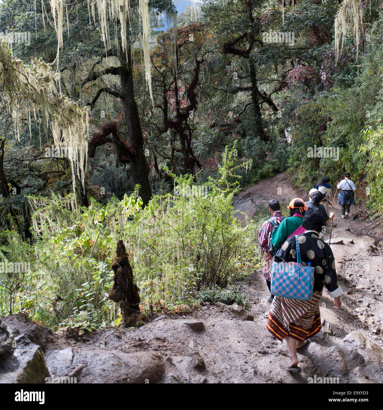 People walking on a trail at Taktsang Monastery, Paro Valley, Paro ...