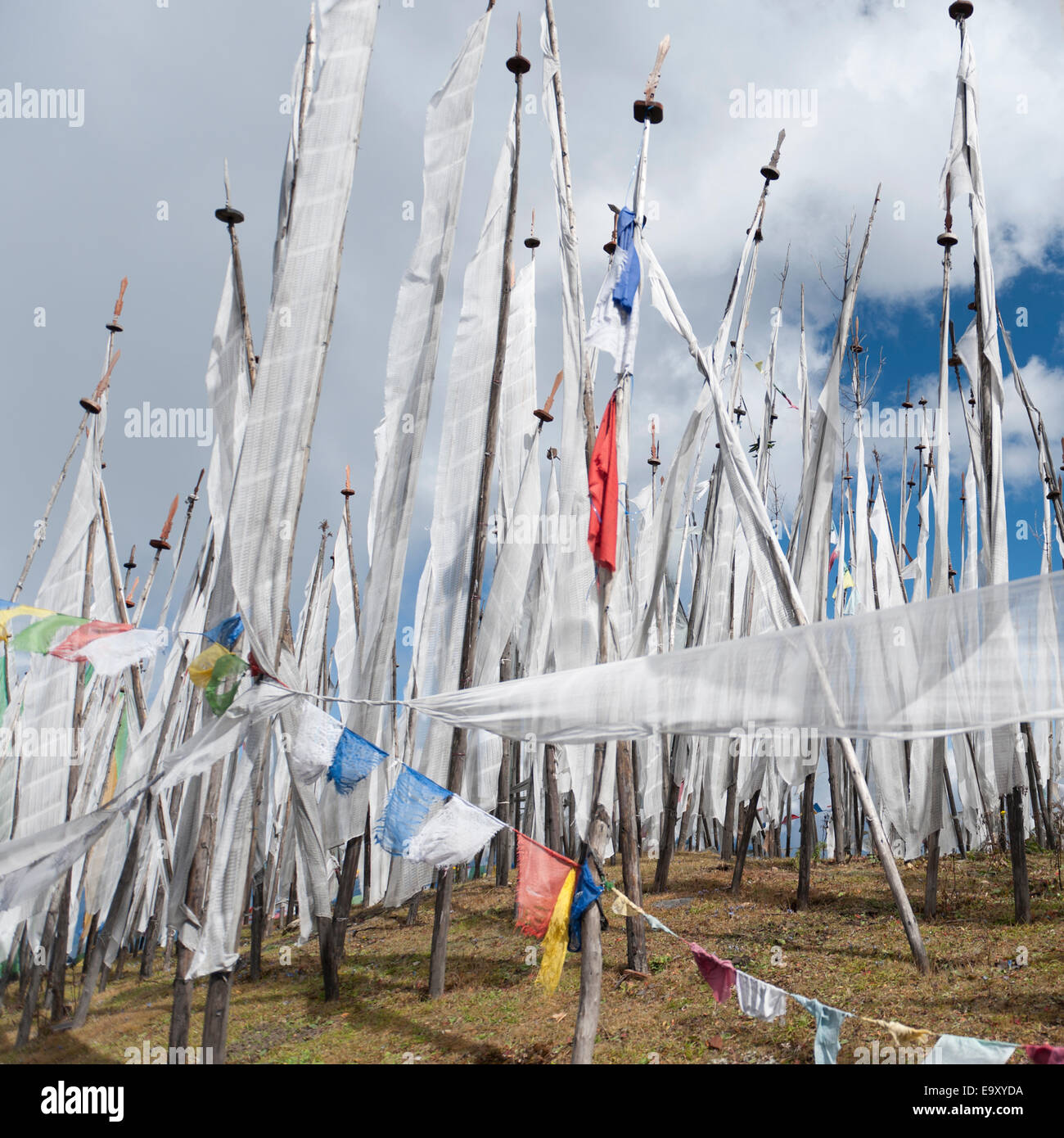 Prayer pole and flags hi-res stock photography and images - Alamy