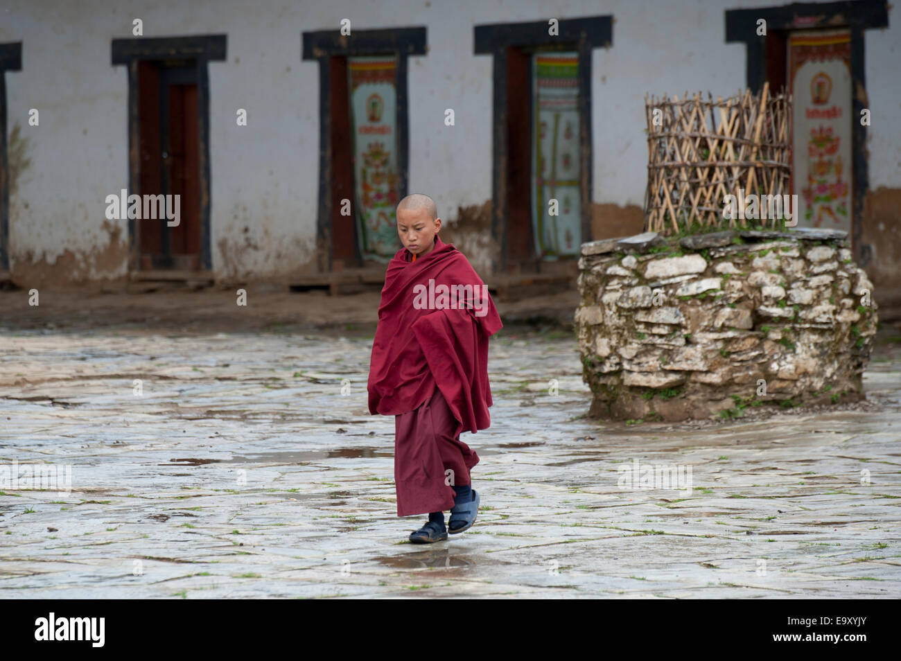 Monk walking at Gangte Monastery, Phobjikha Valley, Wangdue Phodrang ...