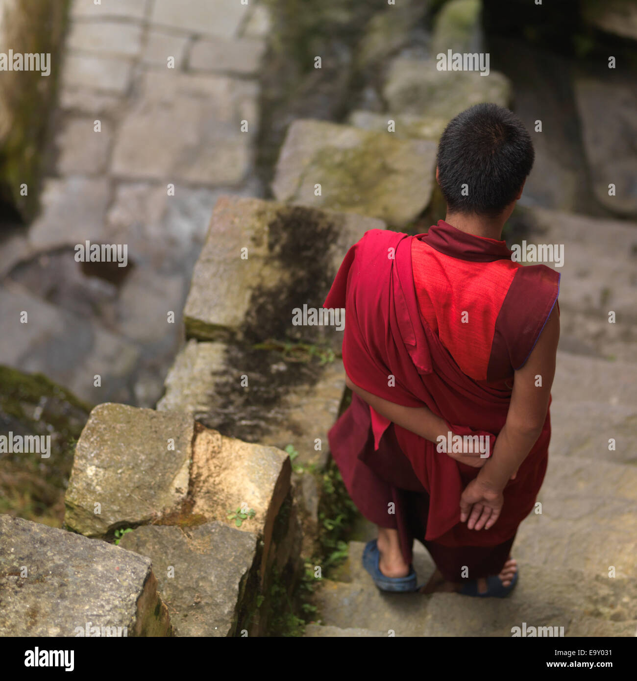 Rear view of a monk moving down steps at Tango Monastery, Thimphu ...