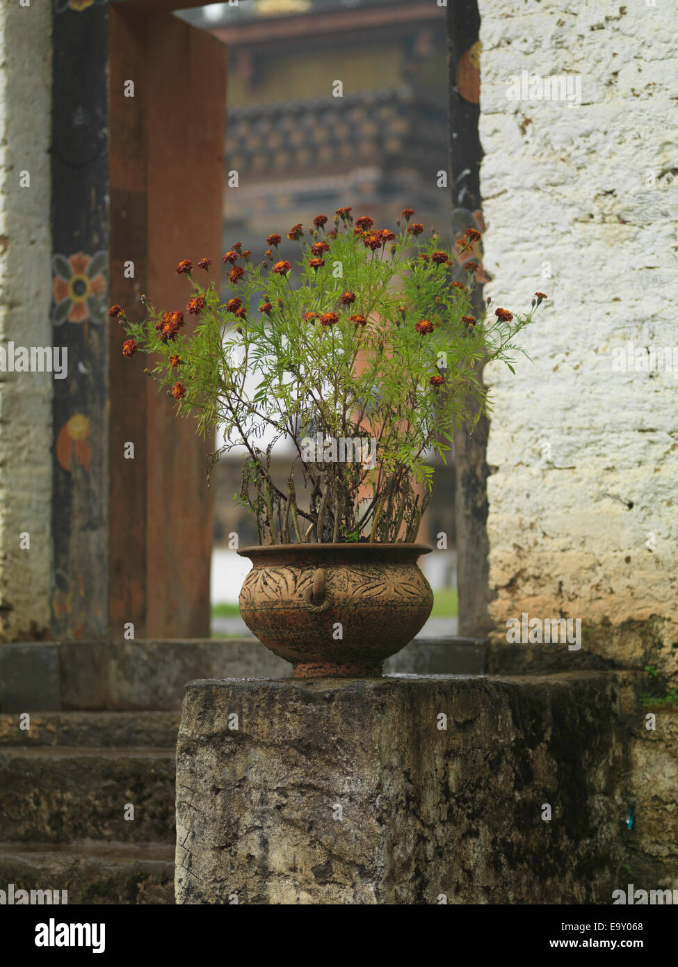 Potted plant at entrance gate of Punakha Monastery, Punakha, Bhutan ...