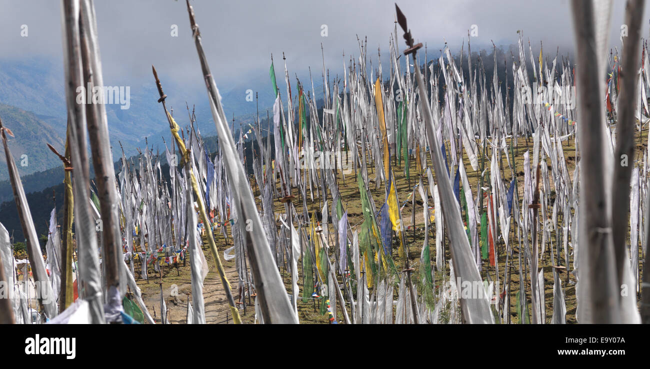 Prayer flags, Chelela Pass, Paro Valley, Paro District, Bhutan Stock ...