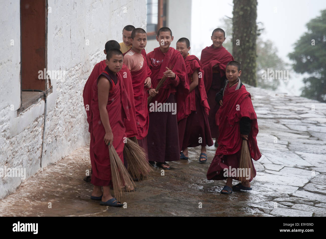 Buddhist monks sweeping at Talo Monastery, Punakha Valley, Punakha ...