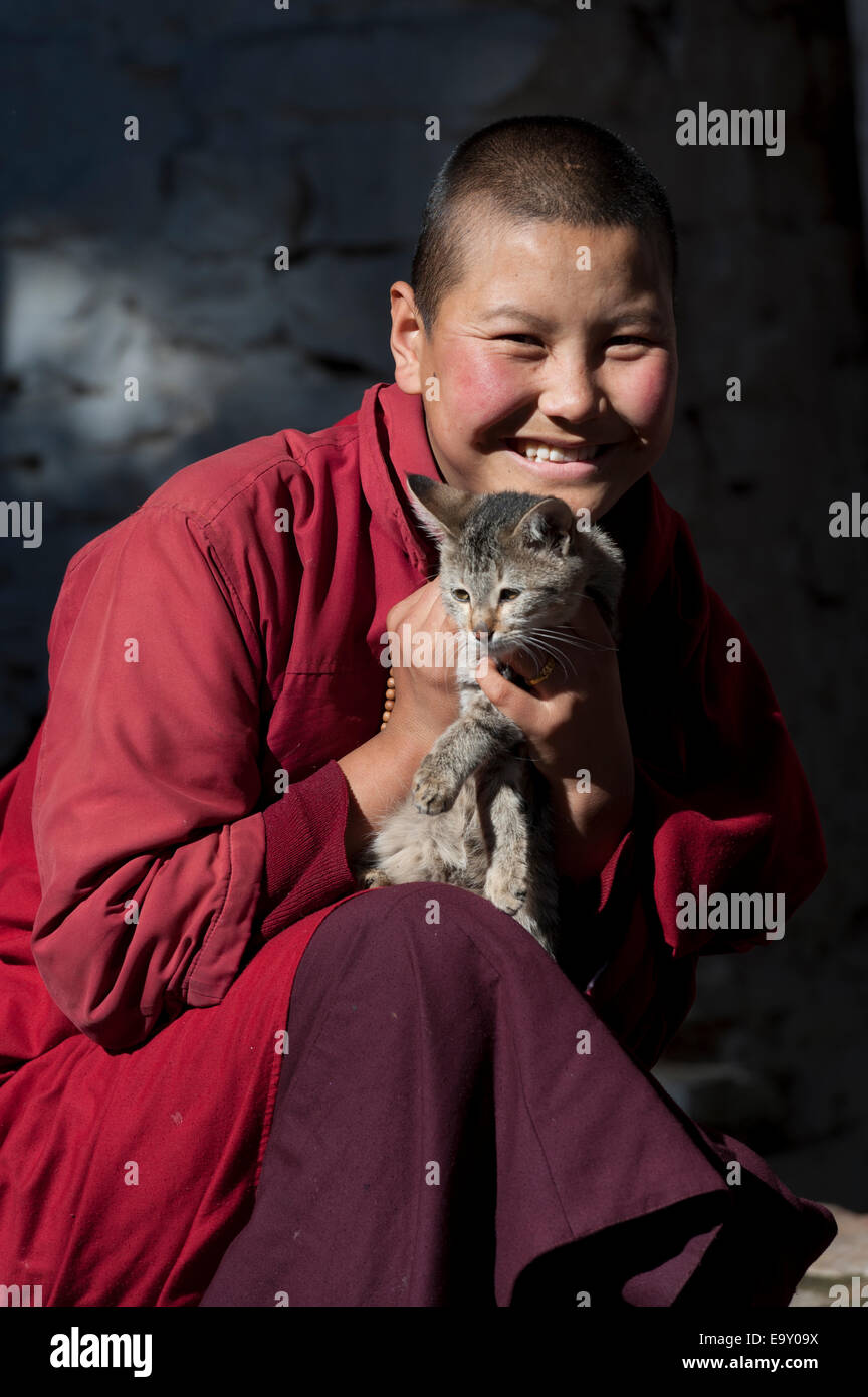 Cat monk hi-res stock photography and images - Alamy