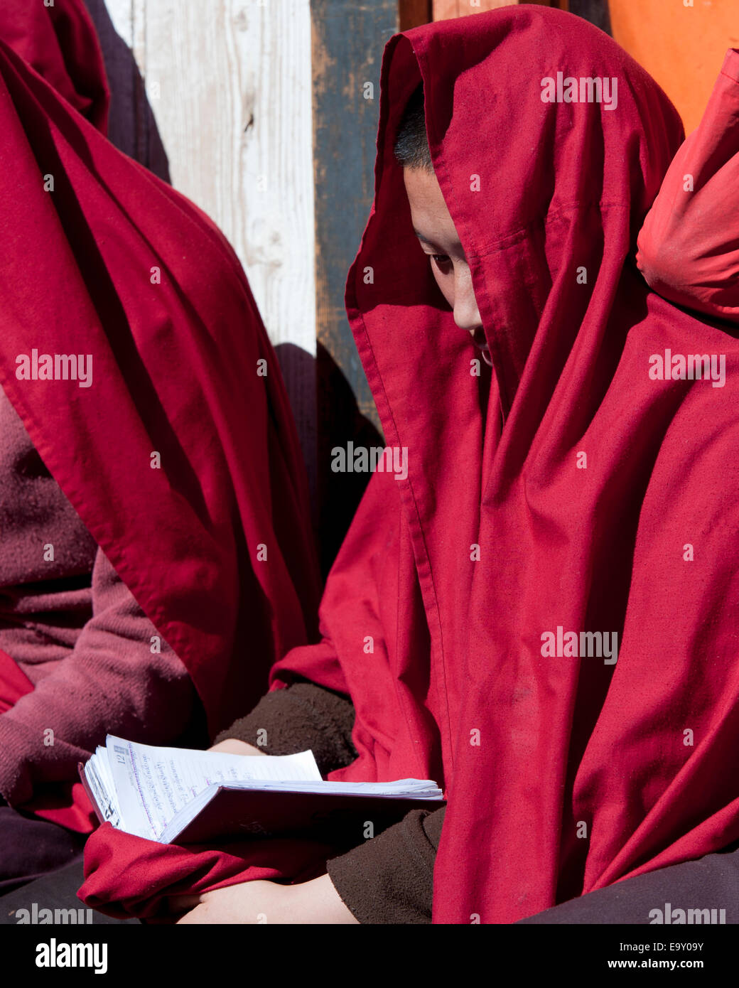 Buddhist monk reading book hi-res stock photography and images - Alamy