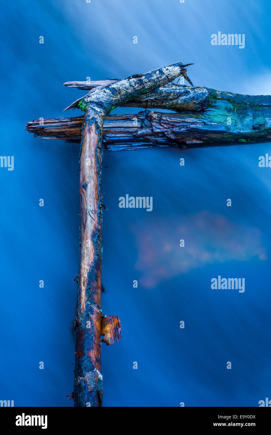 Long exposure shot of dead tree above flowing stream Stock Photo - Alamy