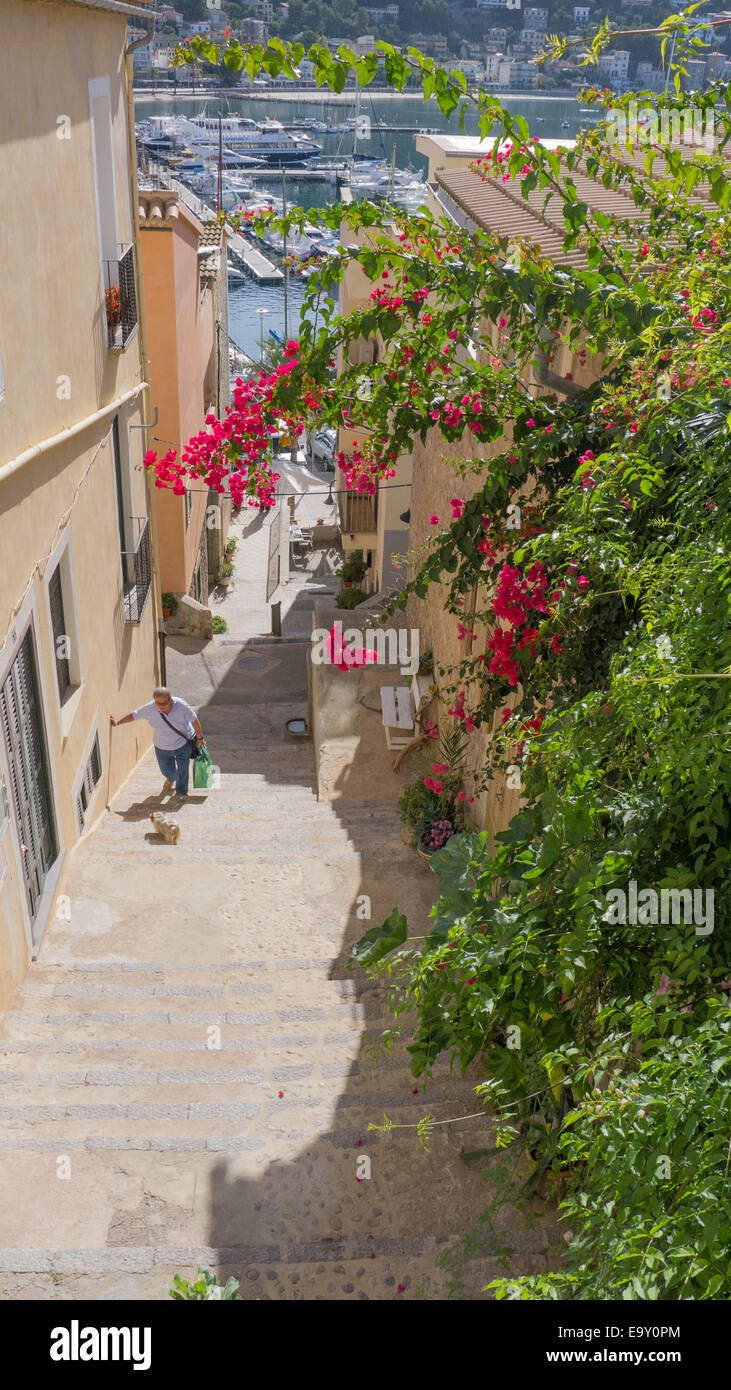 Harbour steps with flowers Puerta Soller Majorca Stock Photo - Alamy