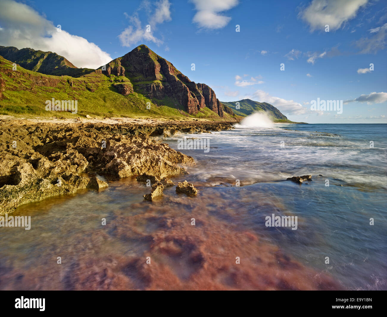 Coast at Ka'ena Point State Park, Oahu, Hawaii, United States Stock ...