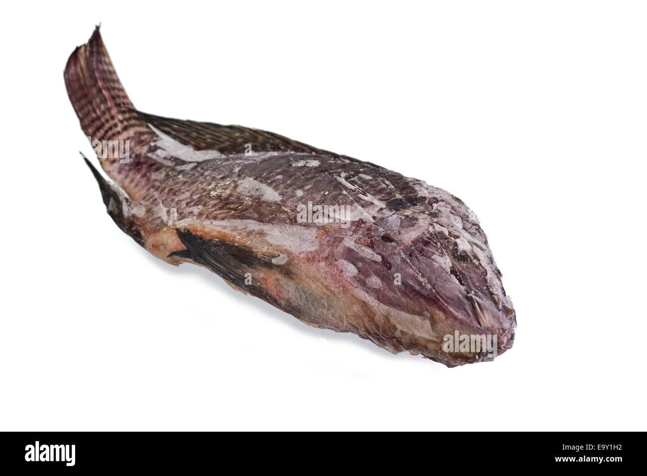 Frozen fish hi-res stock photography and images - Alamy