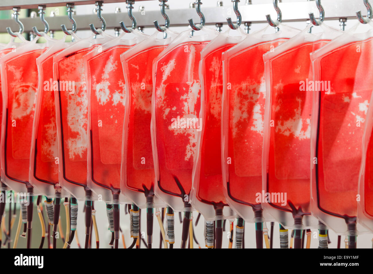 Blood from blood donors in the blood lab. Health and Welfare Stock ...