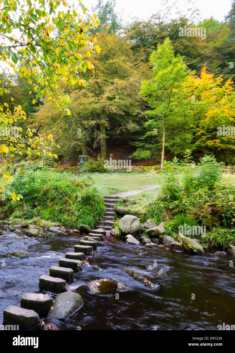Stream with stones hi-res stock photography and images - Alamy