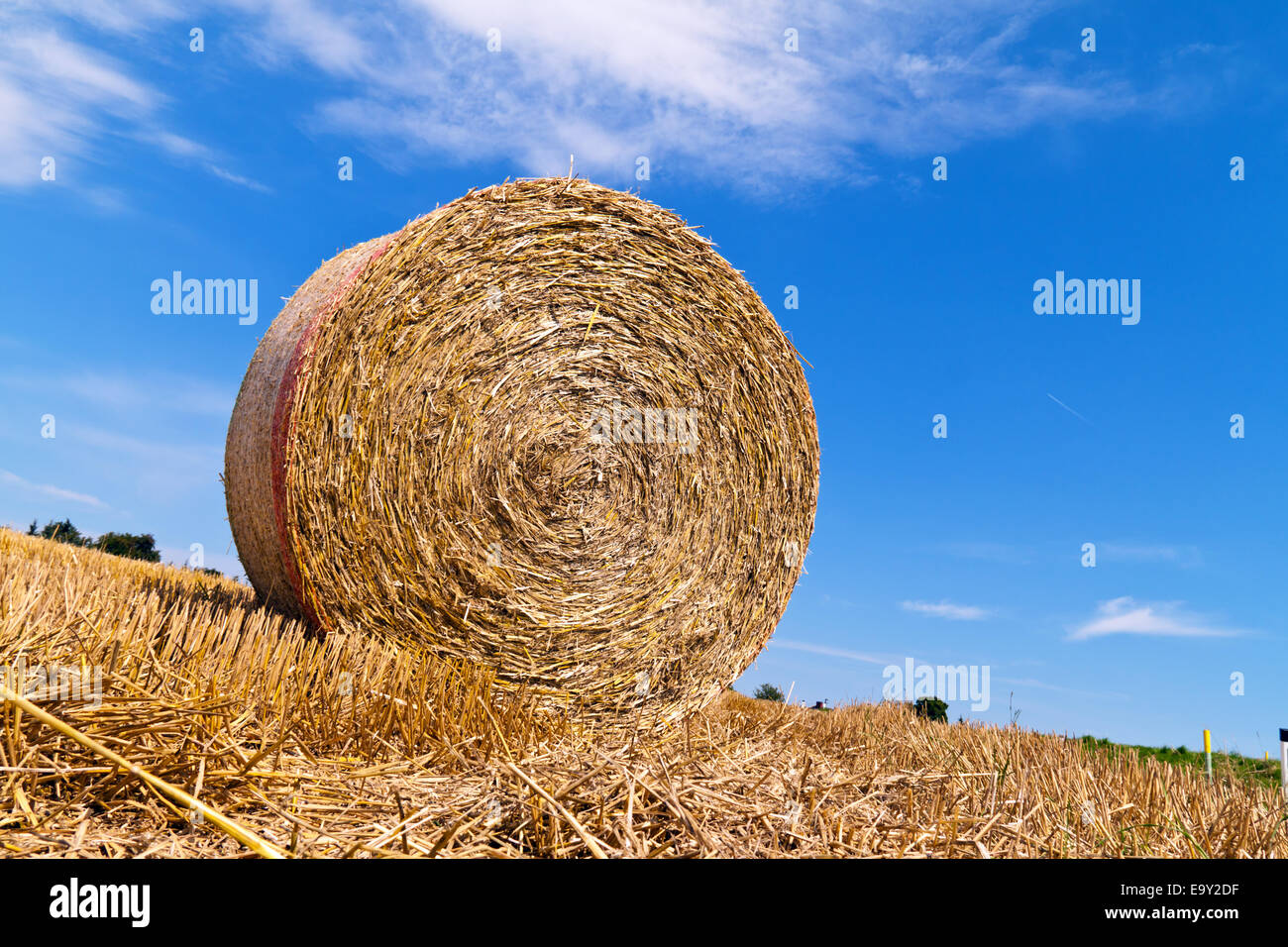 A field with straw bales after harvest in agriculture Stock Photo - Alamy