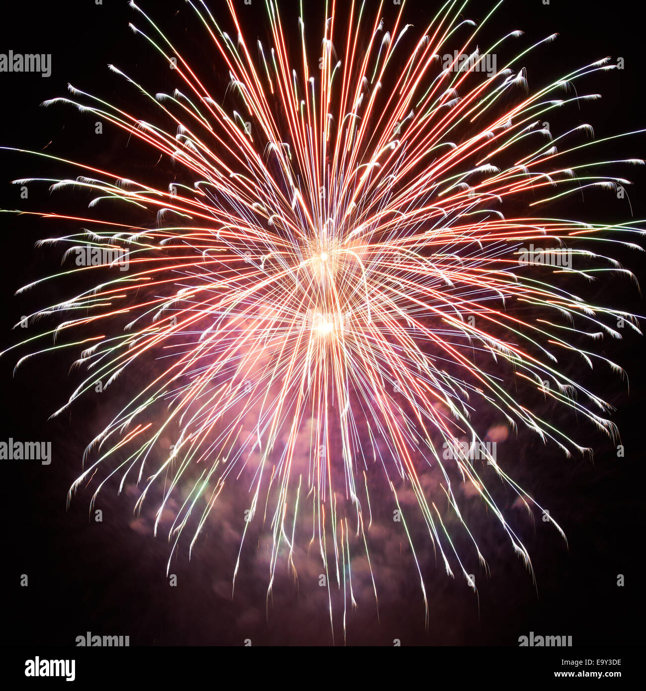 Red and purple colorful holiday fireworks on the black sky background ...