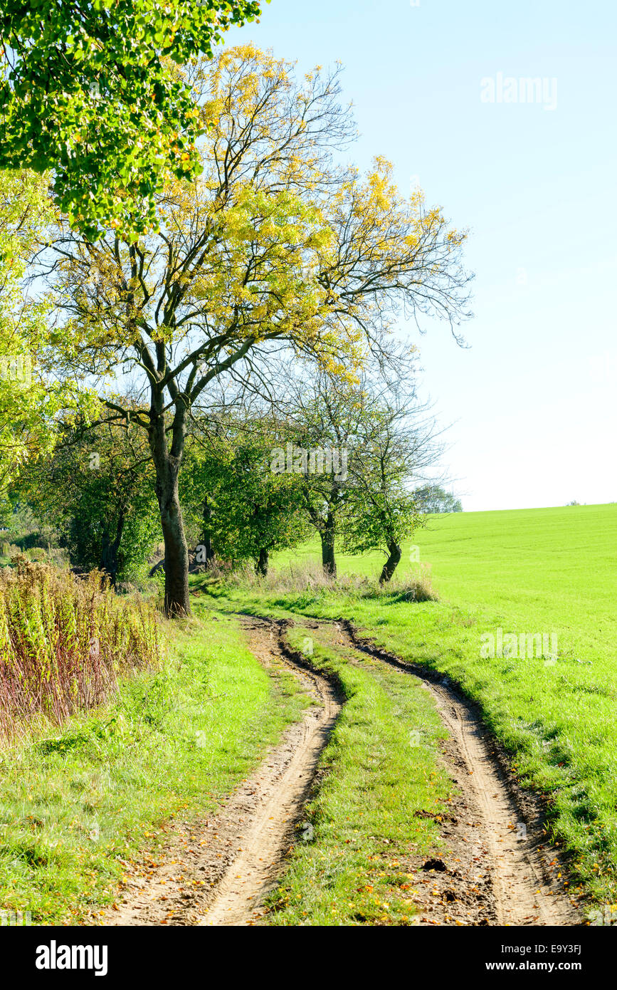 Field of green grass and trees Stock Photo - Alamy