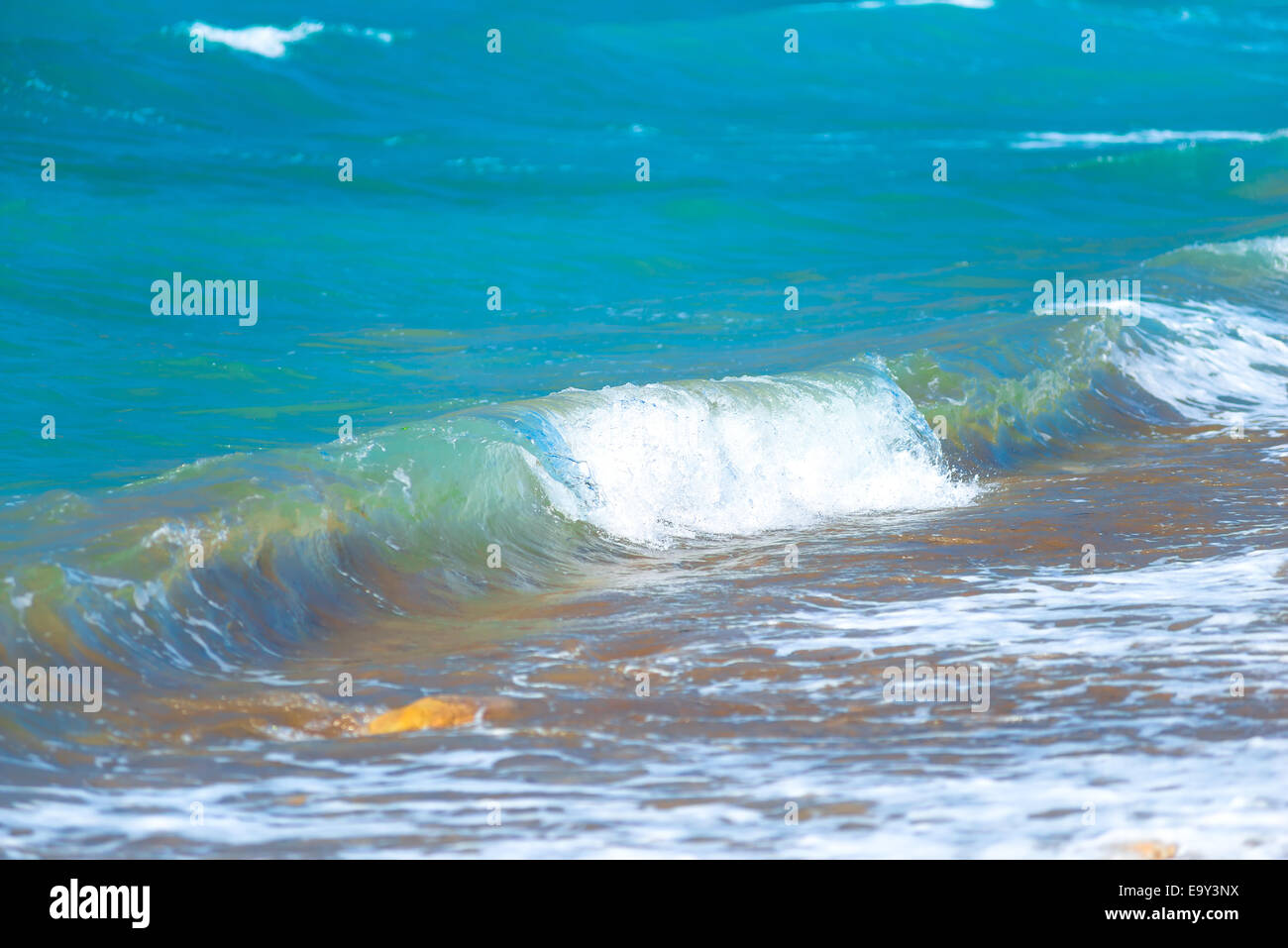 Photo of a beautiful aqua closeup Stock Photo - Alamy
