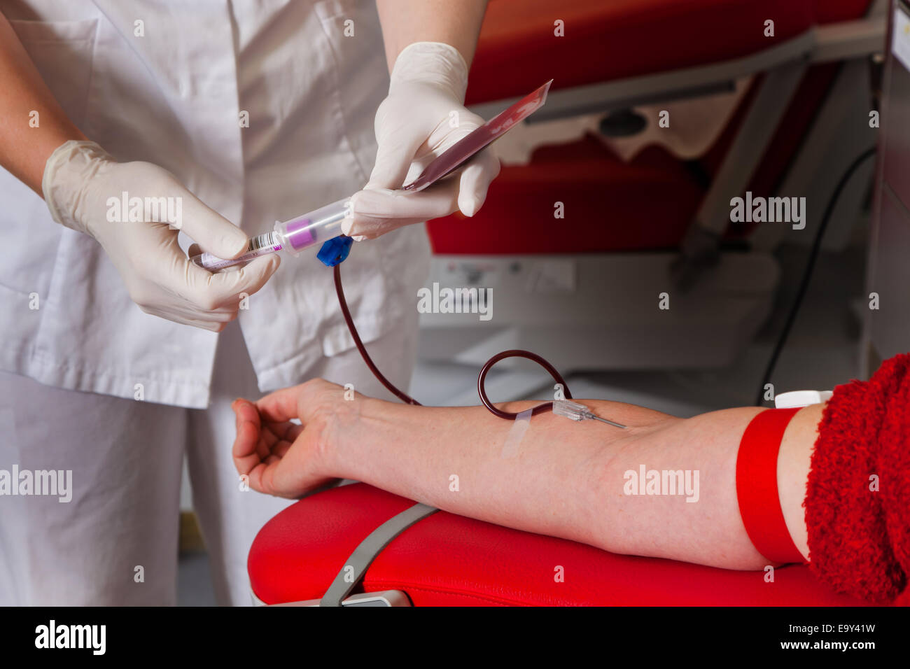 Nurse and patient taking a blood sample. Donated blood in blood lab ...