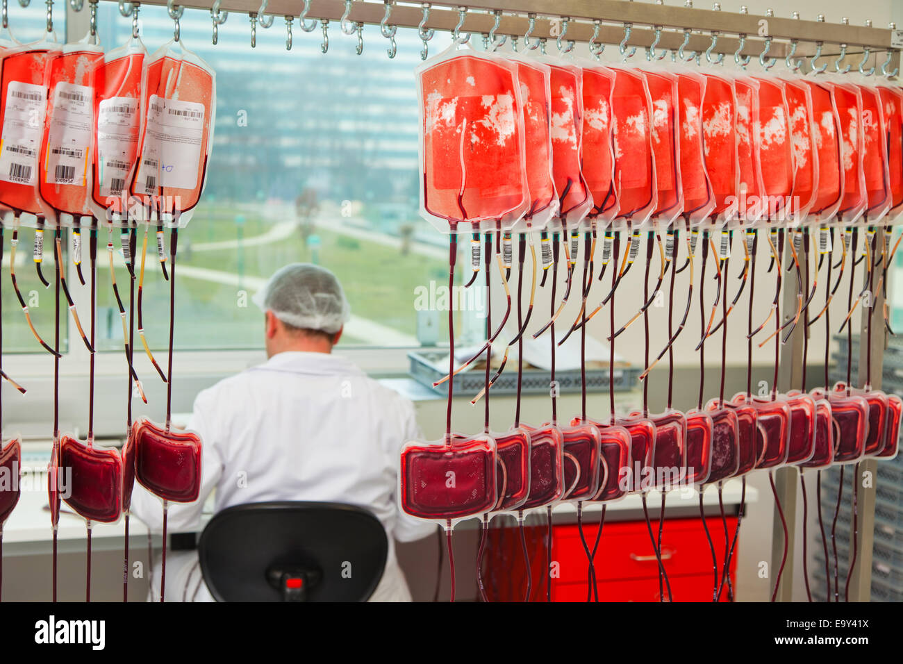 A man investigating in the blood-laboratory, the donated blood. Health ...