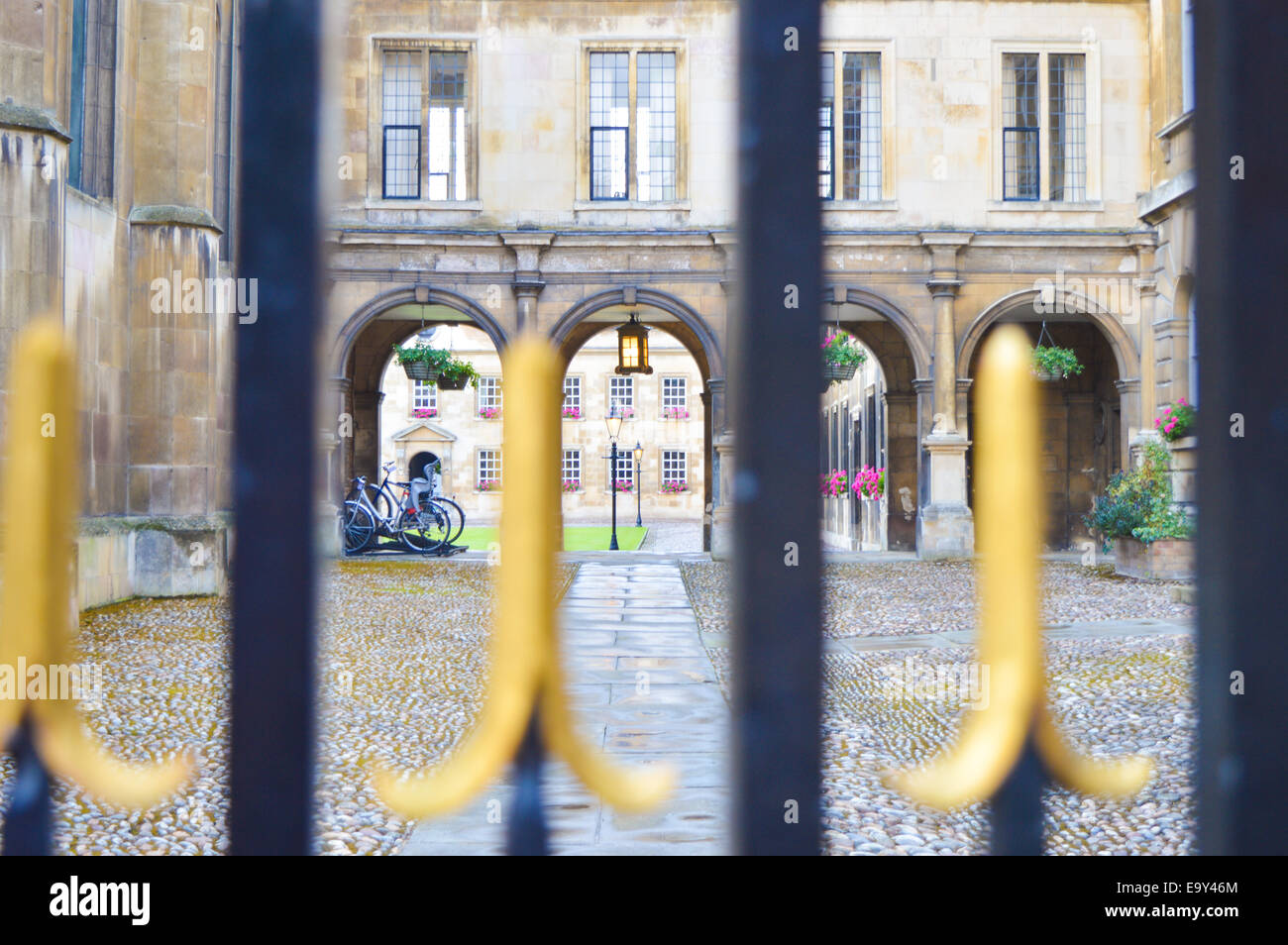 Fence perspective hi-res stock photography and images - Alamy