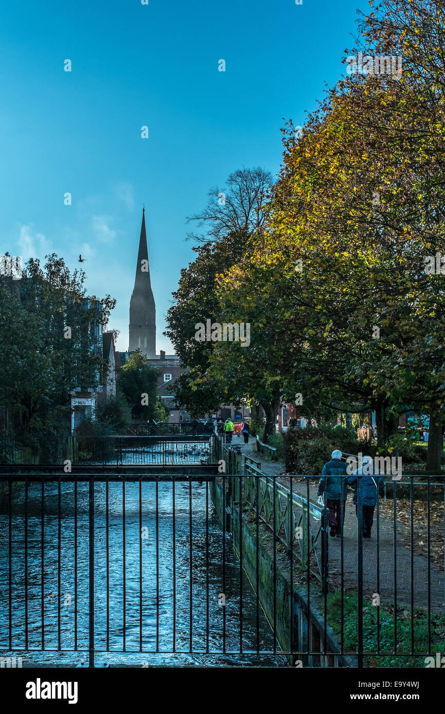 Salisbury cathedral in the autumn hi-res stock photography and images ...