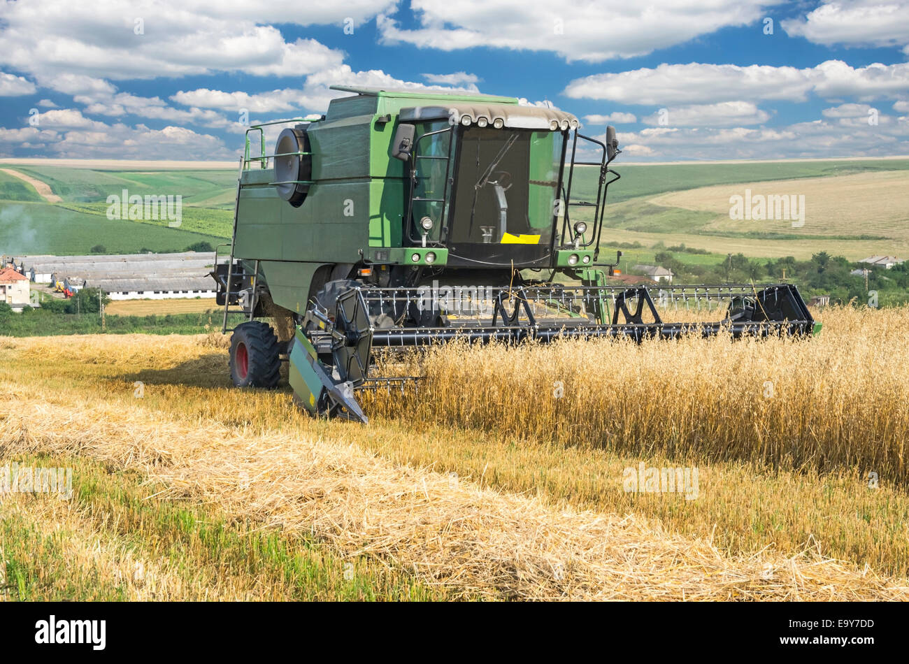 Combine harvester working on the wheat field Stock Photo - Alamy