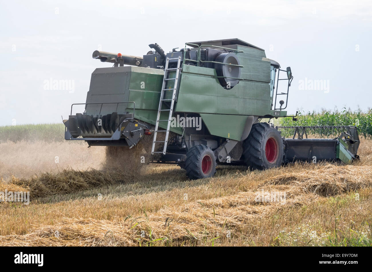 Working combine harvester in a wheat field Stock Photo - Alamy