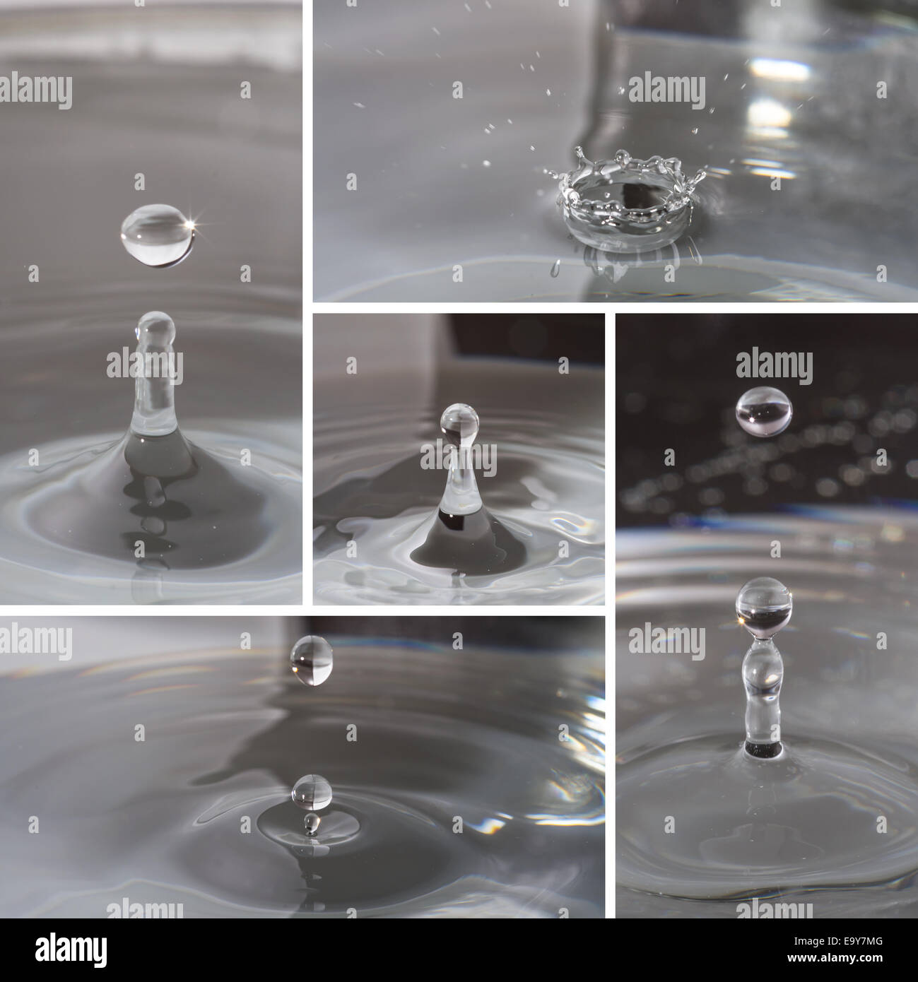 Water drop splashing and ripple collection, close up image Stock Photo ...