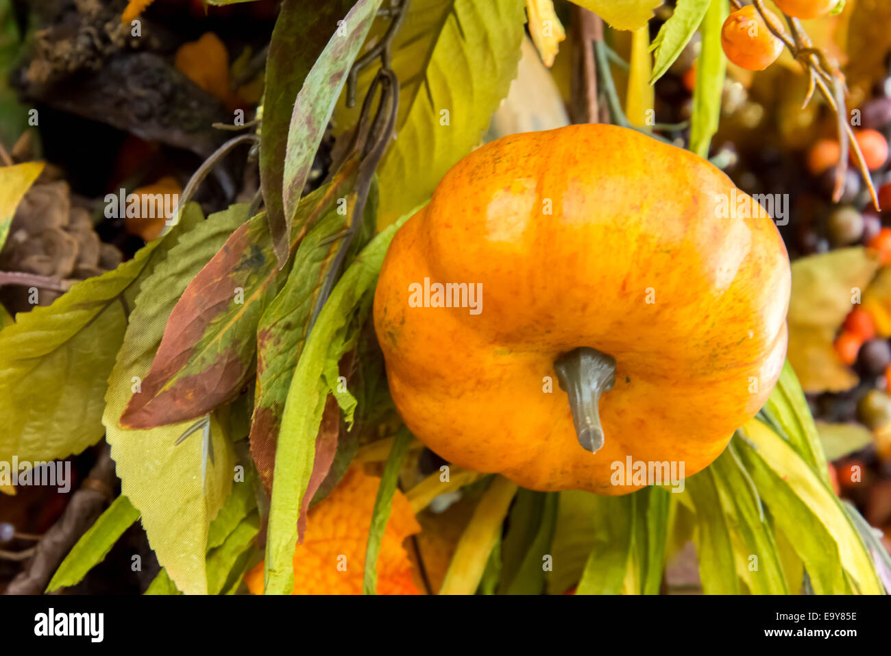 Berries and pumpkins hi-res stock photography and images - Alamy