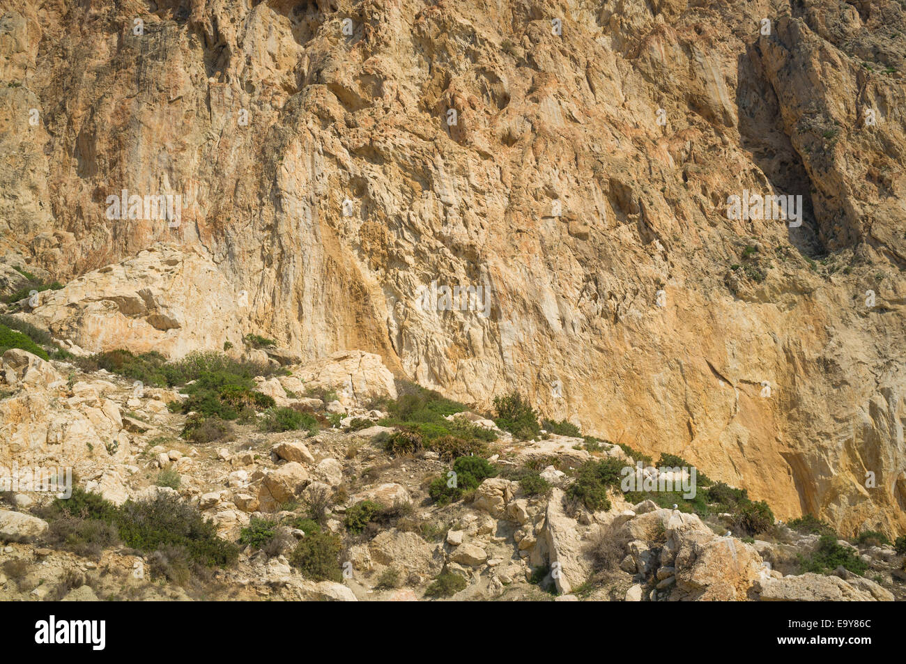 Full frame take of a limestone rock face Stock Photo - Alamy