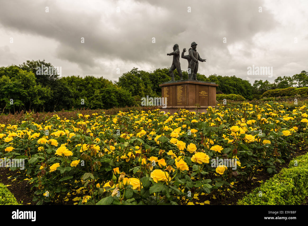 Yellow Roses and Piper Alpha Memorial Stock Photo - Alamy