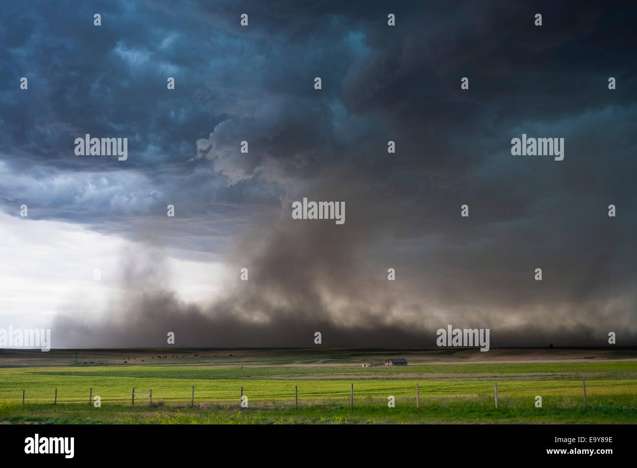 Dust storm farm america hi-res stock photography and images - Alamy