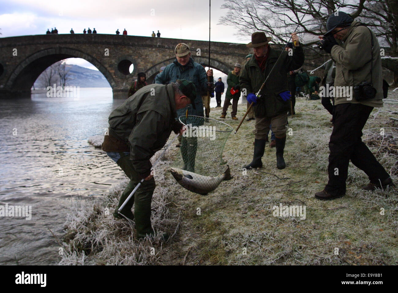 An angler carrying a fish in a net to the river bank on the river Tay ...
