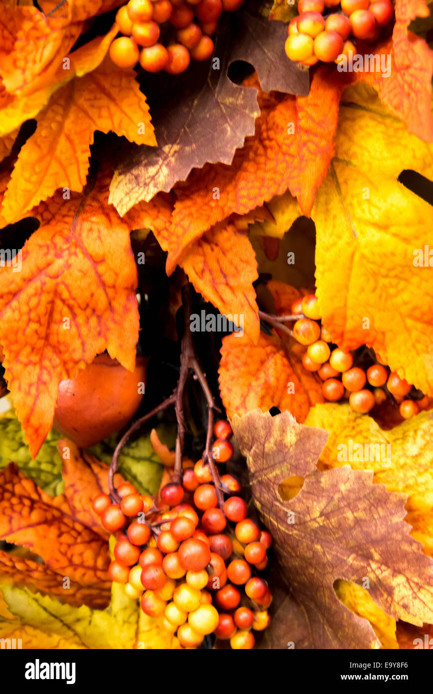 Berries and pumpkins hi-res stock photography and images - Alamy